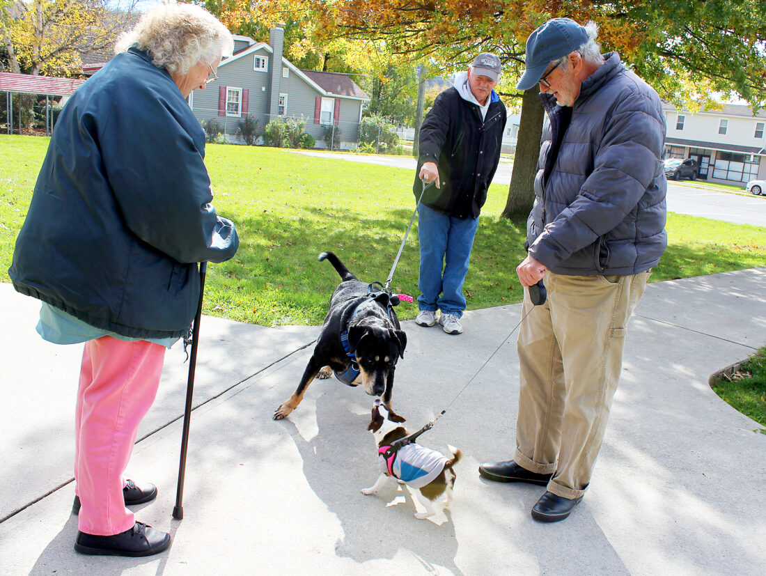 Meet and greet | News, Sports, Jobs - Altoona Mirror